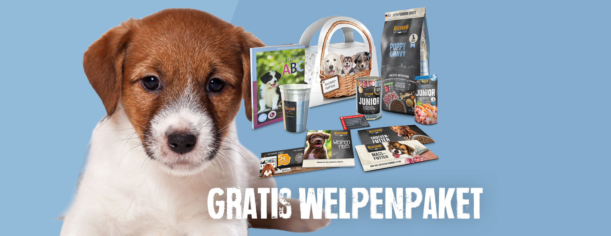 welpenpaket-edogs