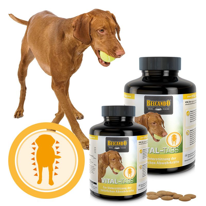 BELCANDO Tabs - Problemlöser für alle Fälle