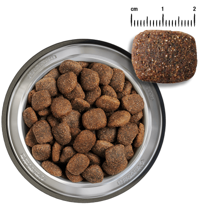 BELCANDO® Adult GF Ocean | 1 kg | 556309