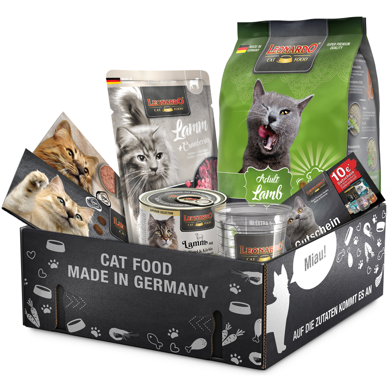 Britisch Kurzhaar Futter