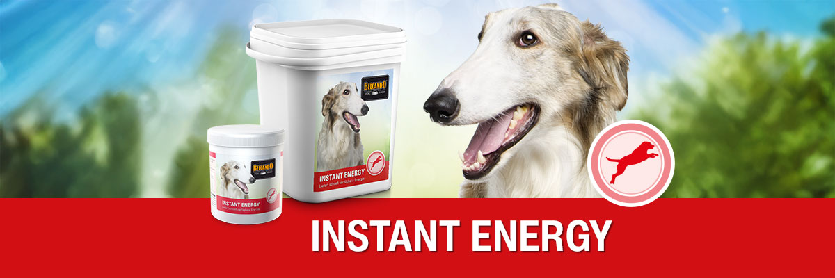 Instant Energy