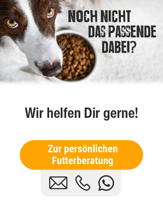 BELCANDO® Welpenfutter | Jetzt versandkostenfrei testen!