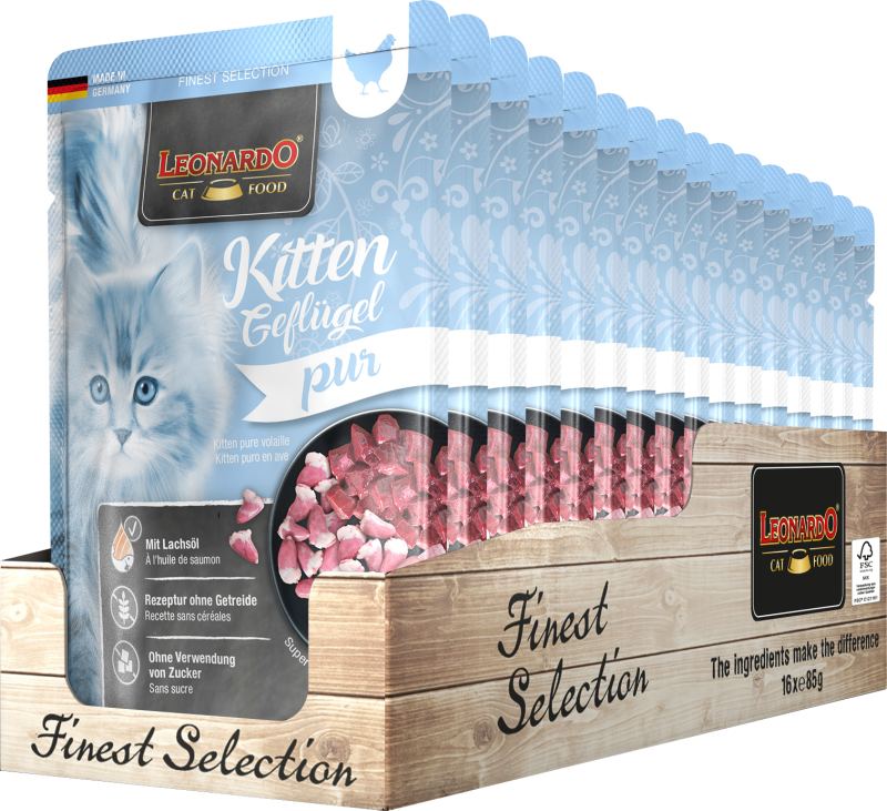 LEONARDO® Kitten