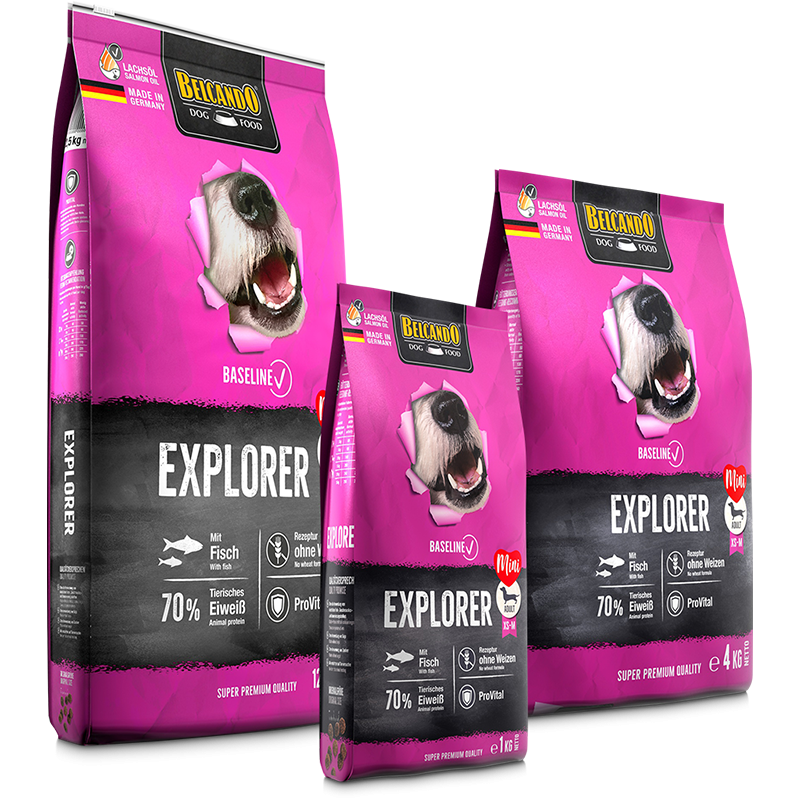 BELCANDO Baseline Explorer | 1 kg | 560509